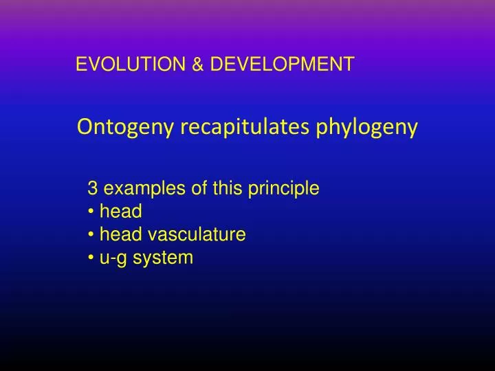 PPT - Ontogeny recapitulates phylogeny PowerPoint Presentation, free ...