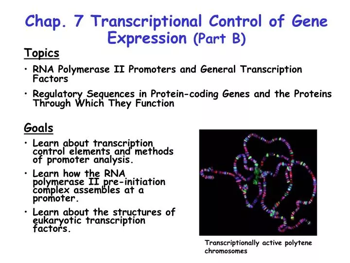 PPT - Chap. 7 Transcriptional Control of Gene Expression (Part B ...
