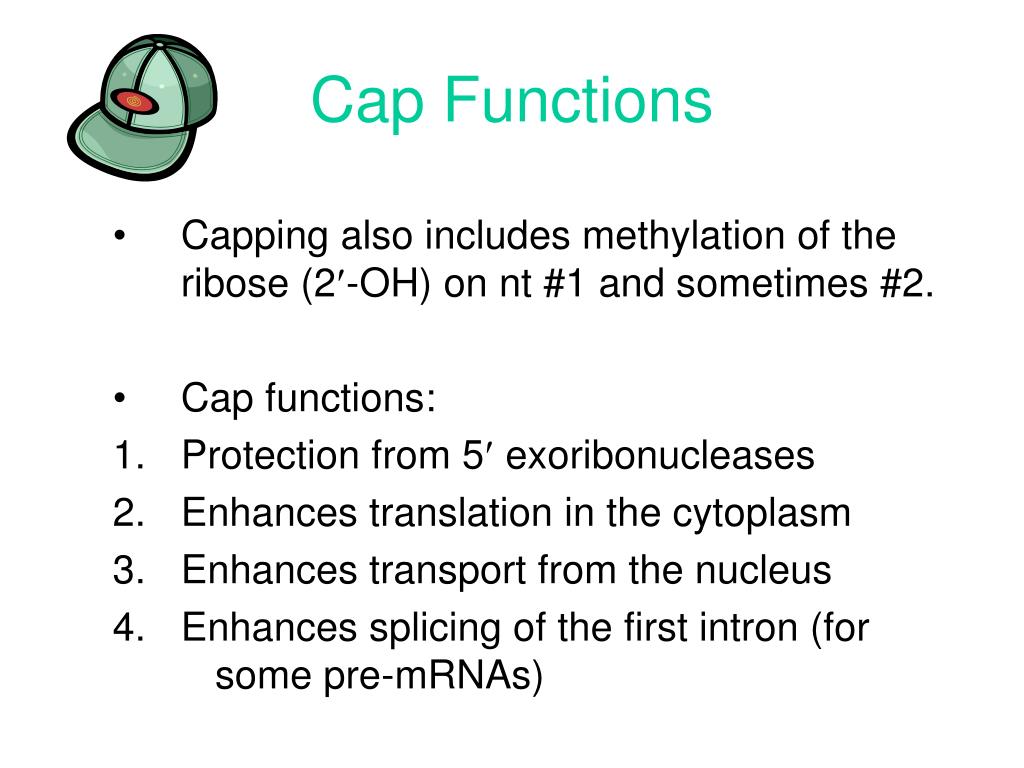 PPT - Plant Nuclear Gene Expression & Regulation PowerPoint ...