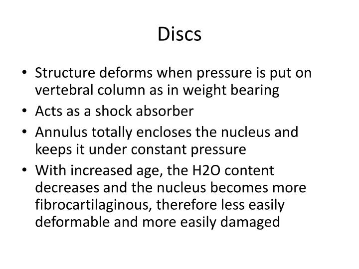 PPT - Anatomy of the vertebral column PowerPoint Presentation - ID:6878956