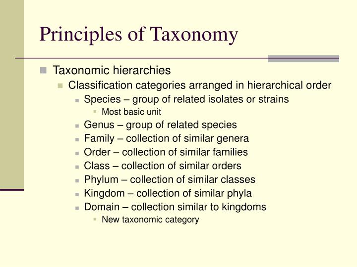 PPT - Identification and Classification of Prokaryotes PowerPoint ...
