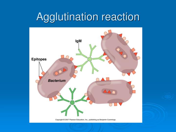 PPT - Practical Applications of Immunology PowerPoint Presentation - ID ...