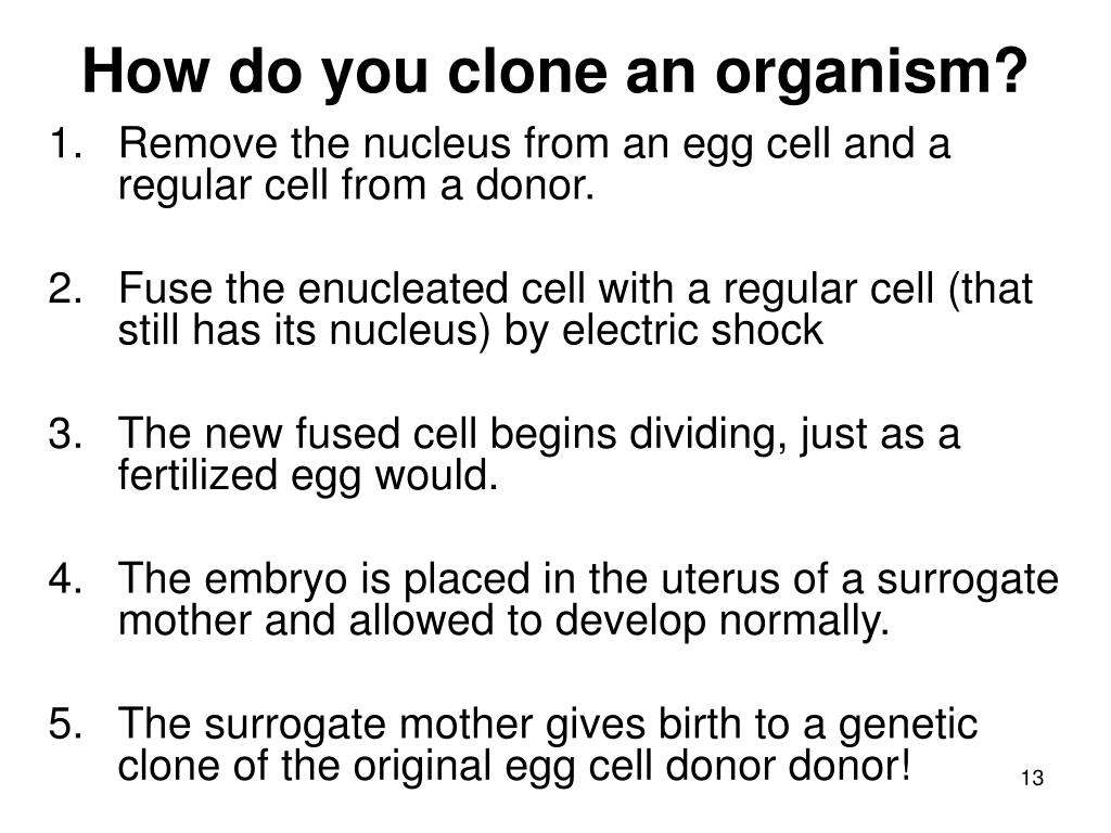 Ppt Human Genome Project Gene Therapy And Cloning Powerpoint