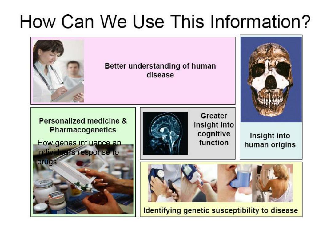 Ppt Human Genome Project Gene Therapy And Cloning Powerpoint