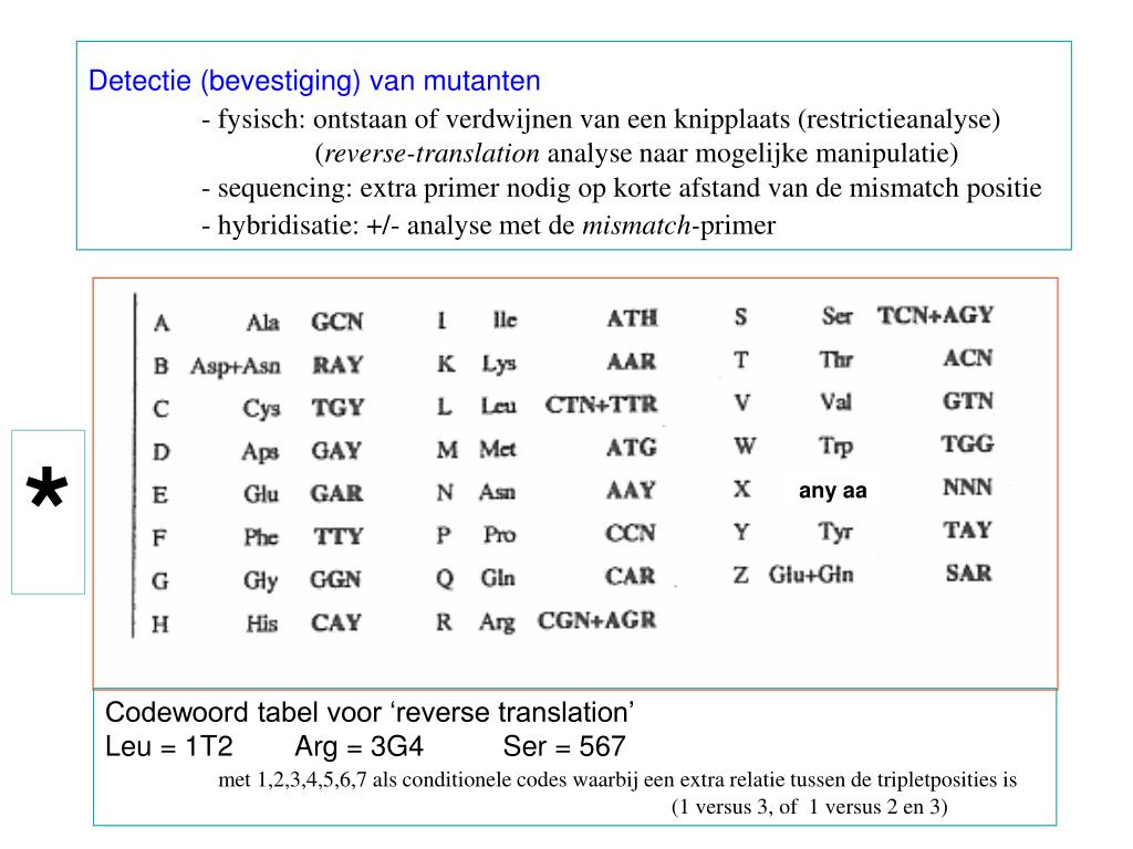 PPT - Plaatsgerichte mutagenese Primrose & Twyman PowerPoint ...