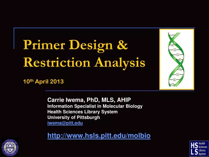 PPT - Primer Design & Restriction Analysis 10 th April 2013 PowerPoint ...