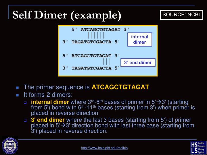 PPT - Primer Design & Restriction Analysis 10 th April 2013 PowerPoint ...