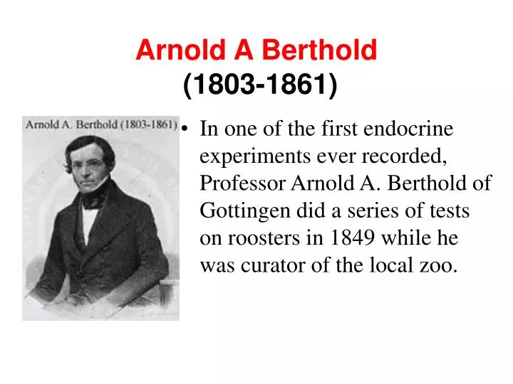 PPT - Arnold A Berthold (1803-1861) PowerPoint Presentation, free ...