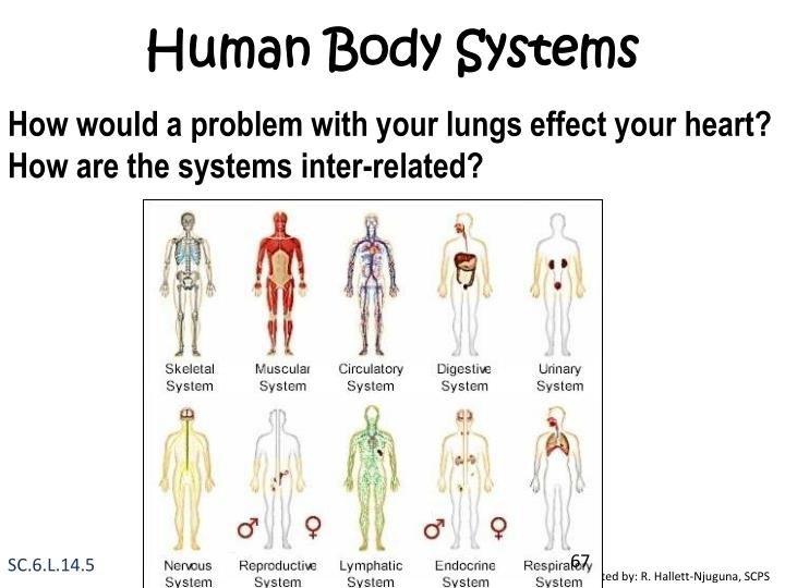PPT - Evidence, Data, and Conclusions PowerPoint Presentation - ID:6885346