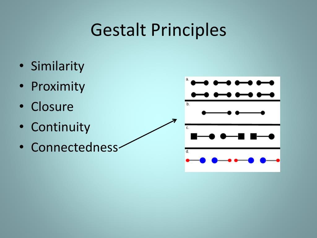 PPT - Understanding Sensation and Perception: Key Concepts and Group ...