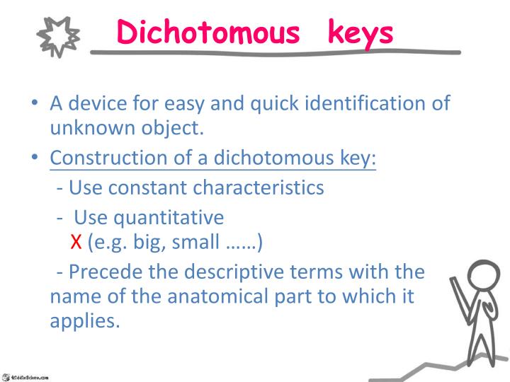 PPT - Dichotomous key Kingdom Proyaryota (bacteria) Kingdom Protoctista ...