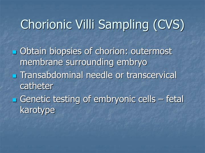 PPT - Prenatal and Neonatal Assessment PowerPoint Presentation - ID:6889687