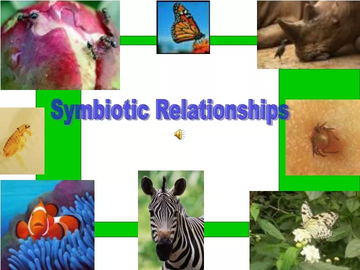 PPT - Symbiotic Relationships PowerPoint Presentation, free download ...