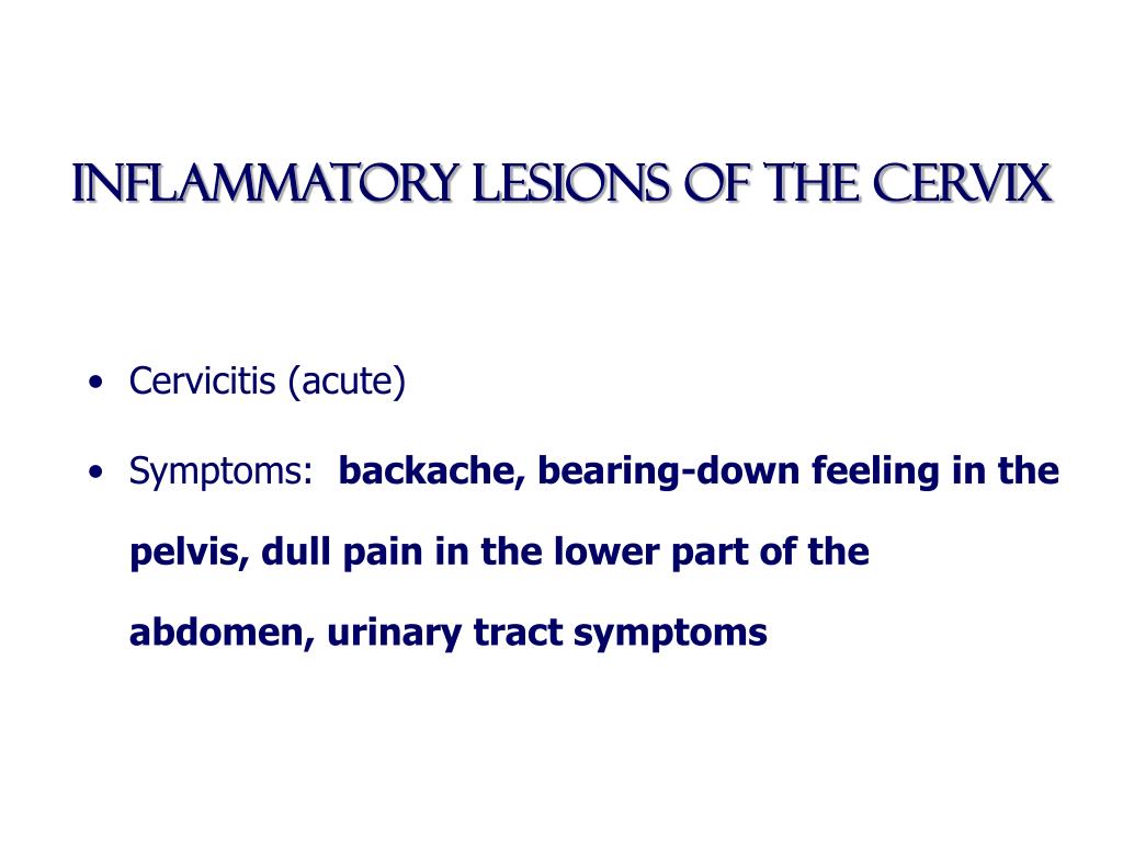 Ppt Benign Diseases Of The Vulva Vagina And Cervix Powerpoint