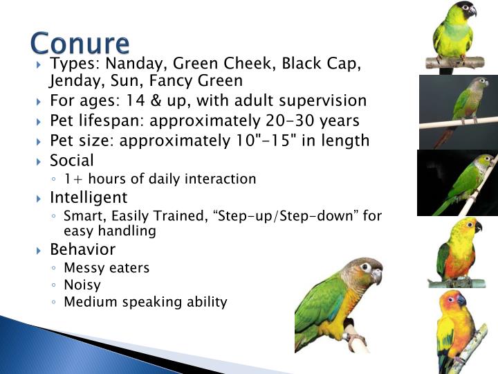 Sun life span - heavyvvti