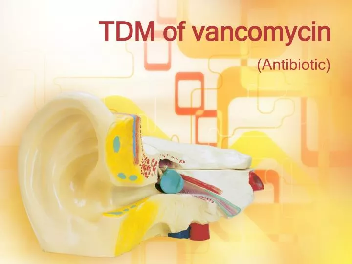 PPT - TDM of vancomycin PowerPoint Presentation, free download - ID:6891454