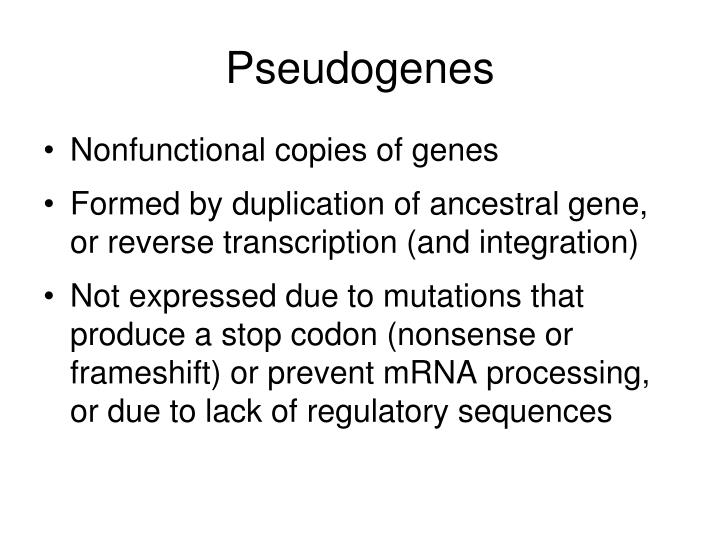 PPT - Genome organization PowerPoint Presentation - ID:6892051