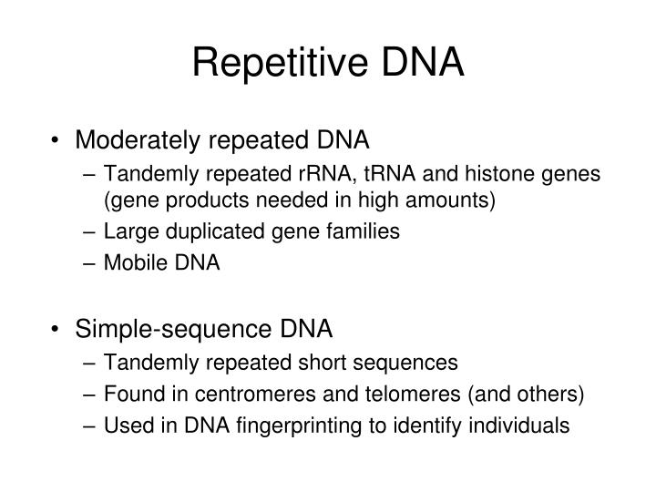 PPT - Genome organization PowerPoint Presentation - ID:6892051