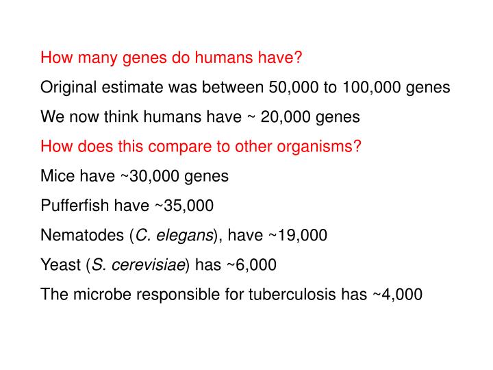 PPT - Genome organization PowerPoint Presentation - ID:6892051