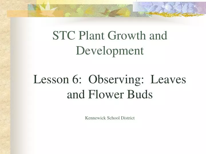 PPT - Materials list PowerPoint Presentation, free download - ID:6894075