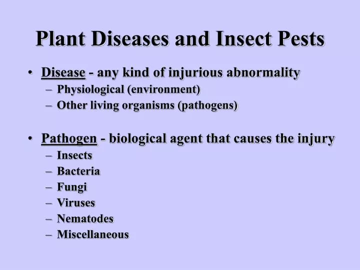 PPT - Plant Diseases and Insect Pests PowerPoint Presentation, free ...