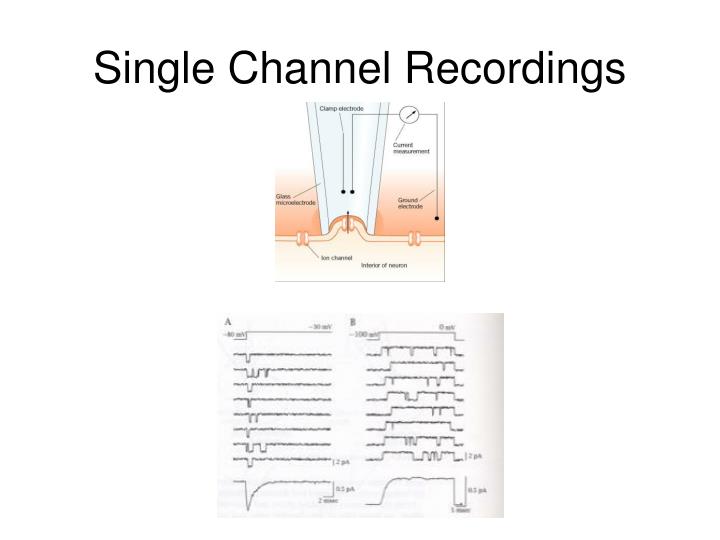 PPT - Whole-cell vs Cell-attached patch Current Clamp Components of an ...