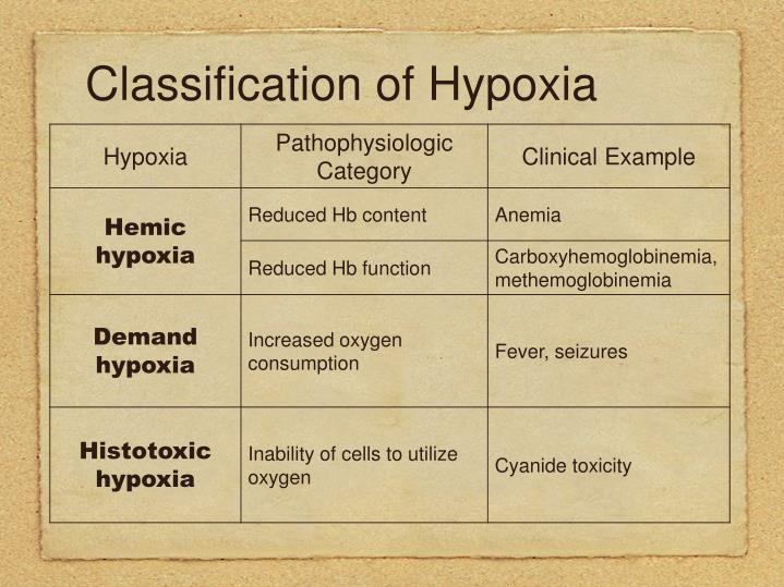 PPT - Preoperative Management of Hypoxic Patients PowerPoint ...