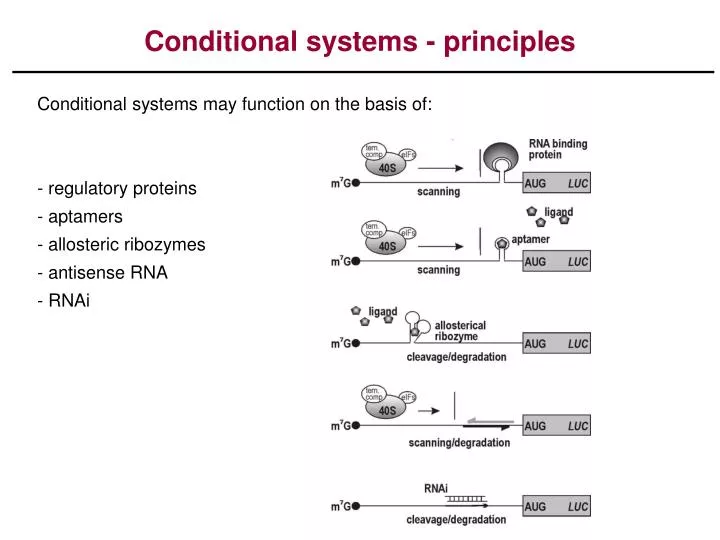 PPT - Conditional systems - principles PowerPoint Presentation, free ...