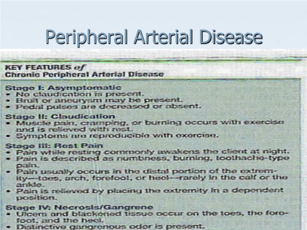 PPT - Vascular Disorders Peripheral Arterial Disease of the Lower ...