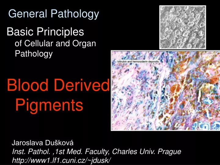 PPT - General Pathology PowerPoint Presentation, free download - ID:6896174