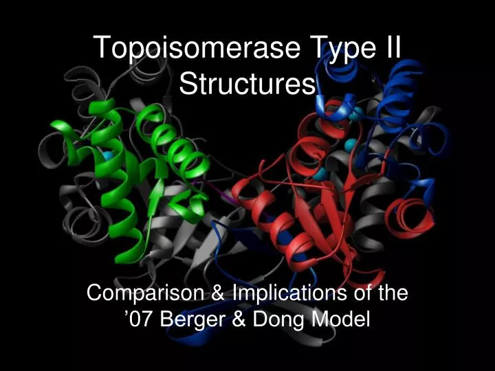 PPT - Topoisomerase Type II Structures PowerPoint Presentation, free ...