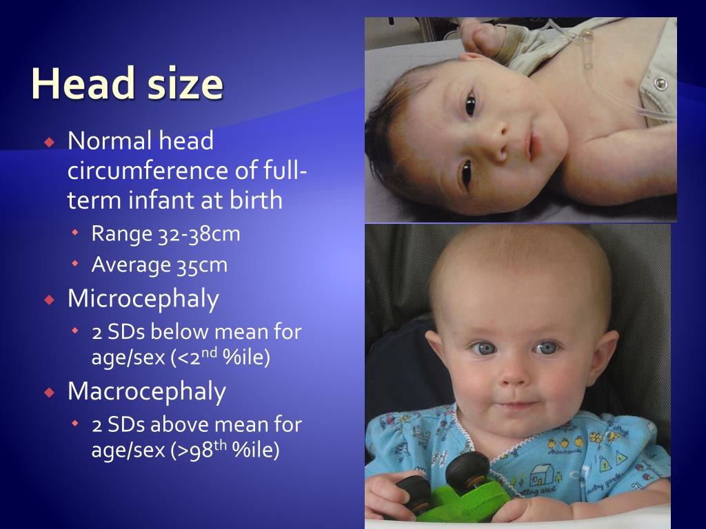 PPT Growth And Development PowerPoint Presentation Free Download PPT Growth And Development PowerPoint Presentation Free Download