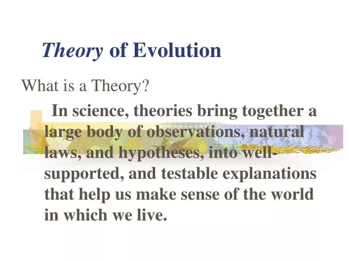 PPT - Theory of Evolution PowerPoint Presentation, free download - ID ...