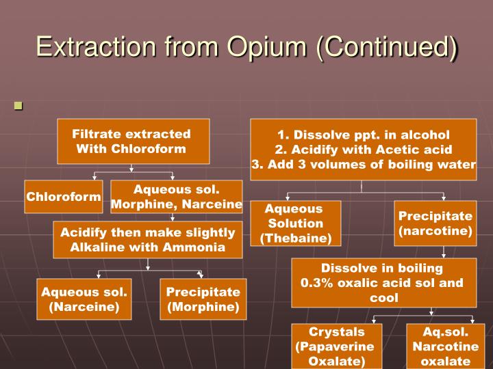 PPT - Alkaloids (Lecture 5) PowerPoint Presentation - ID:6897918