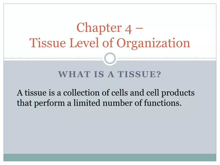 PPT - Chapter 4 – Tissue Level of Organization PowerPoint Presentation ...