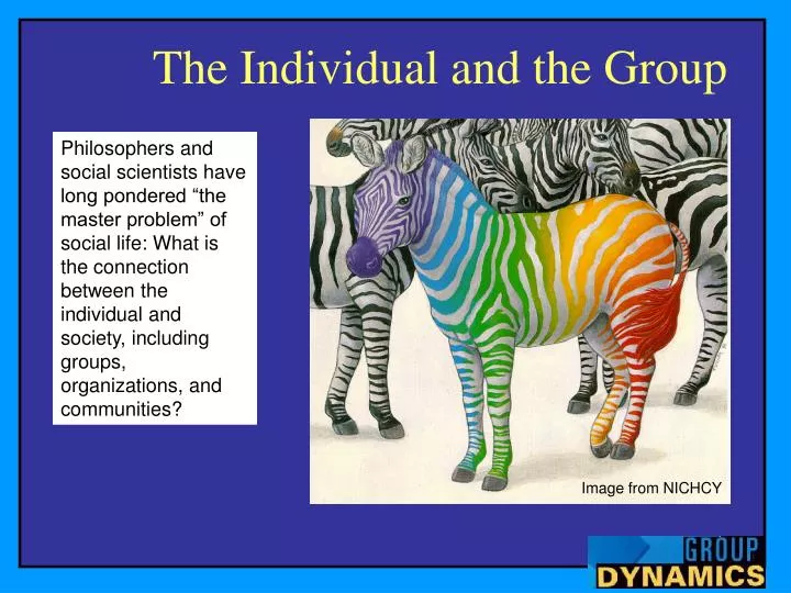 PPT - The Individual and the Group PowerPoint Presentation, free ...