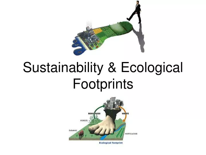PPT - Sustainability & Ecological Footprints PowerPoint Presentation ...