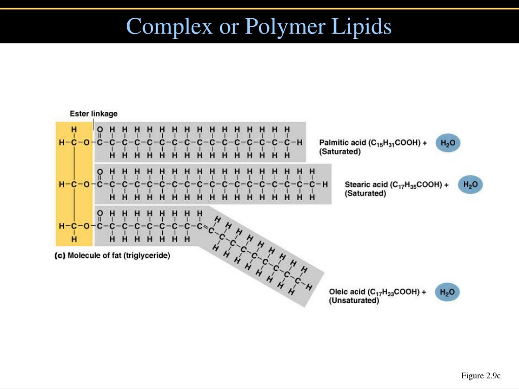 PPT - The Chemistry of Life PowerPoint Presentation, free download - ID ...