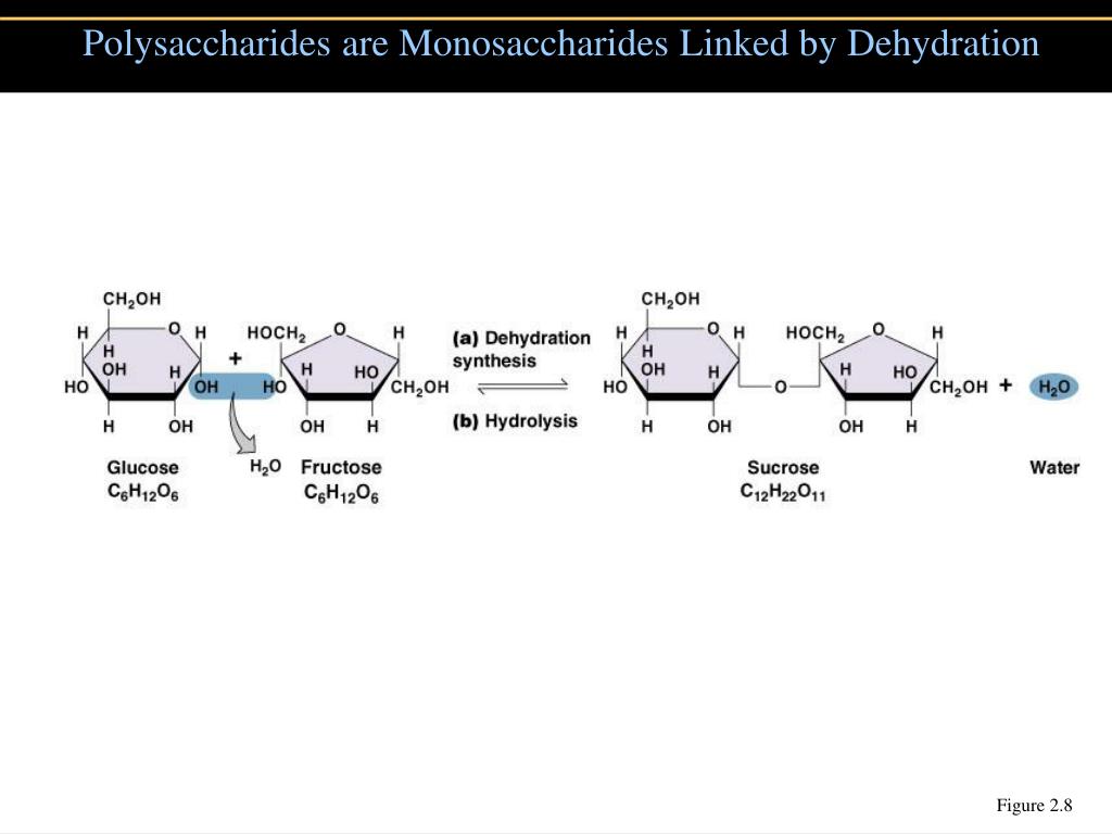 PPT - The Chemistry of Life PowerPoint Presentation, free download - ID ...
