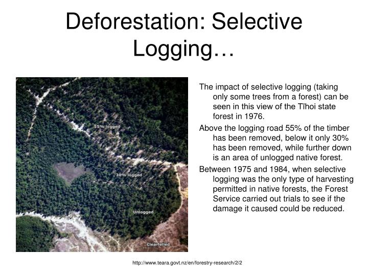 PPT - Ch 7-8 Part 2 PowerPoint Presentation - ID:6899784