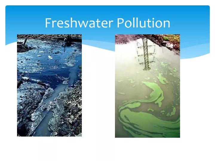 PPT - Freshwater Pollution PowerPoint Presentation, free download - ID ...