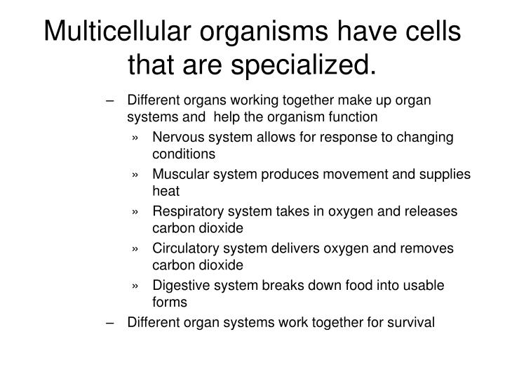 PPT - I. Multicellular organisms have cells that are specialized ...
