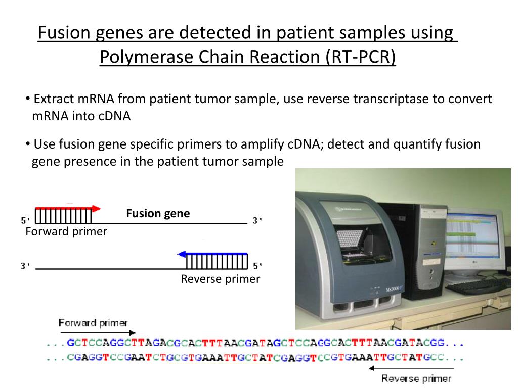 PPT - Fusion Genes in Cancer Wednesday, June 27th PowerPoint ...