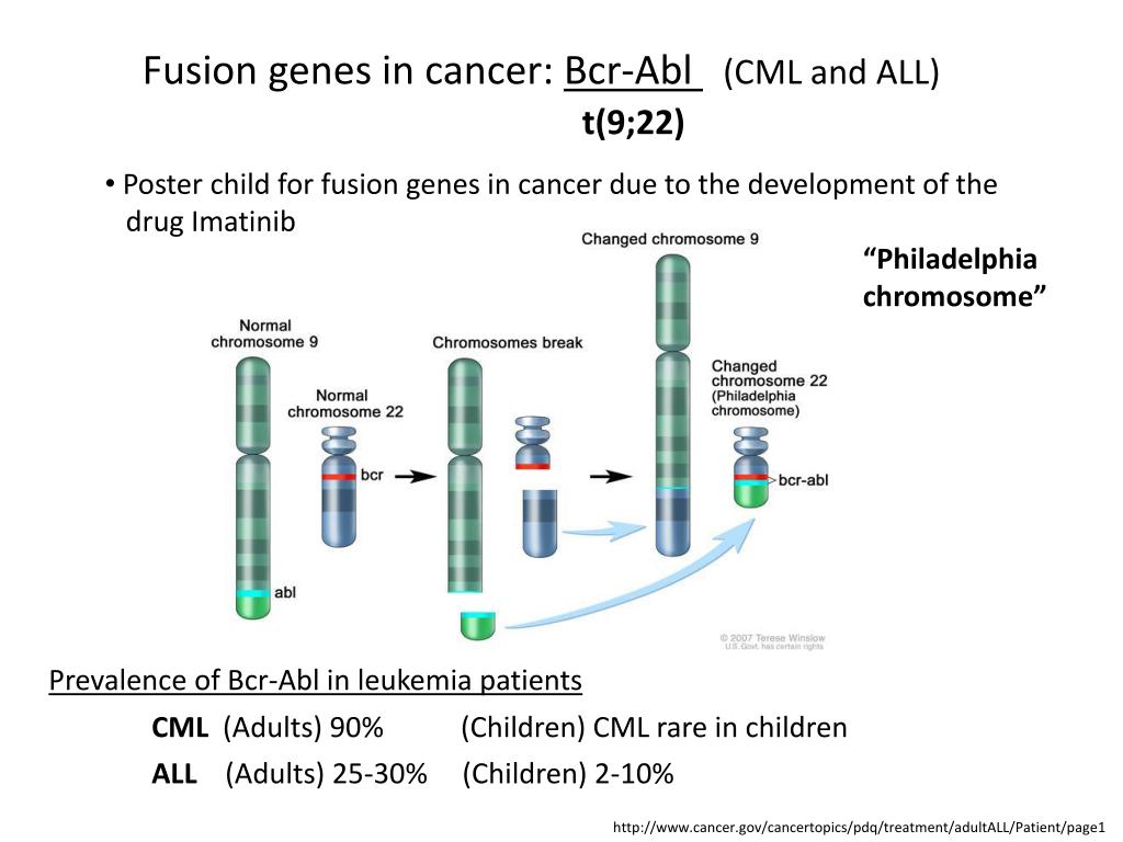 PPT - Fusion Genes in Cancer Wednesday, June 27th PowerPoint ...