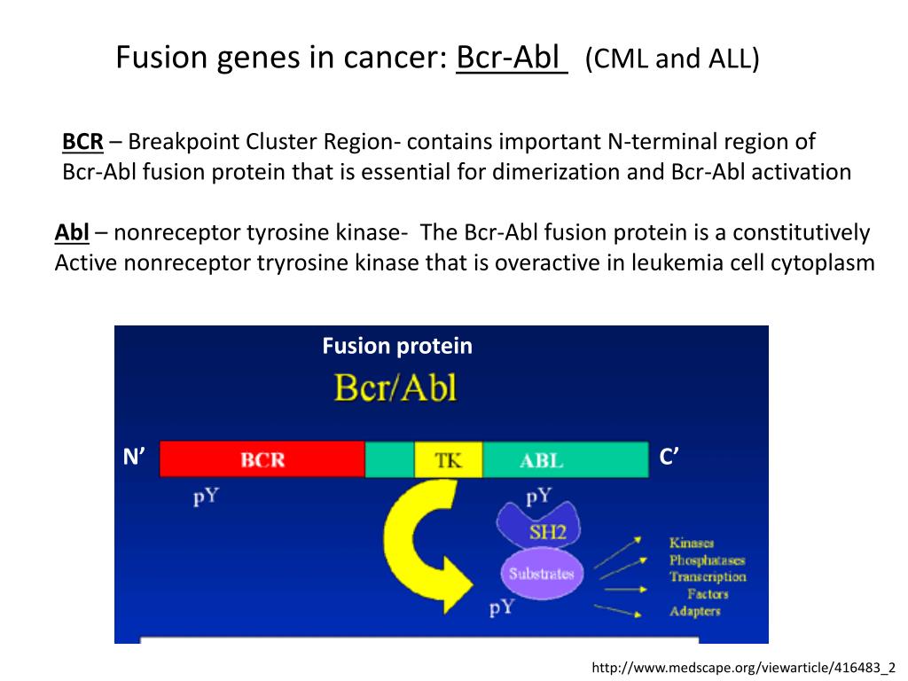 PPT - Fusion Genes in Cancer Wednesday, June 27th PowerPoint ...