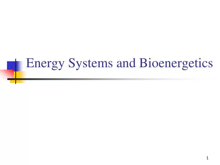 PPT - Energy Systems and Bioenergetics PowerPoint Presentation, free ...