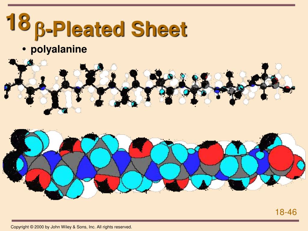 PPT - Understanding Amino Acids & Proteins: Chemical Properties and ...