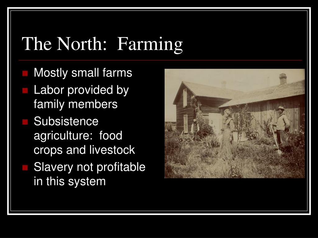 PPT - Antebellum America: North vs. South PowerPoint Presentation, free ...