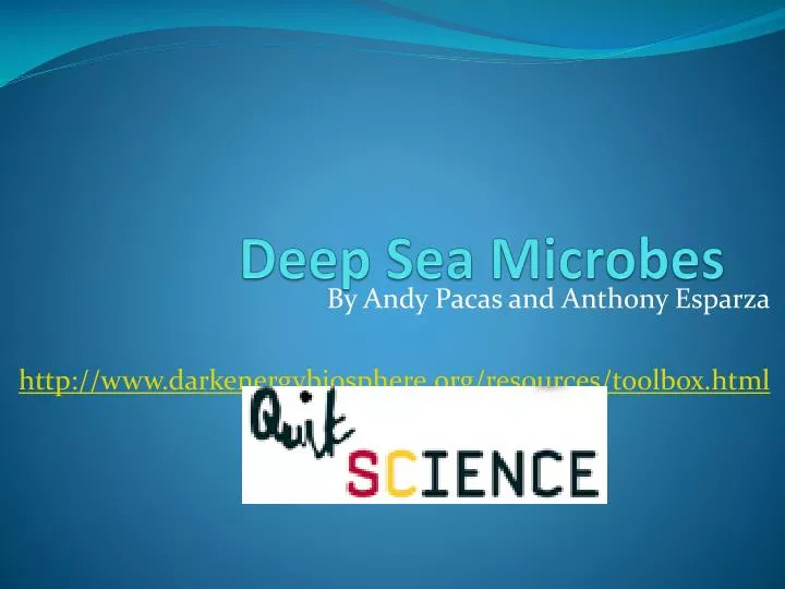 PPT - Deep Sea Microbes PowerPoint Presentation, free download - ID:6904210