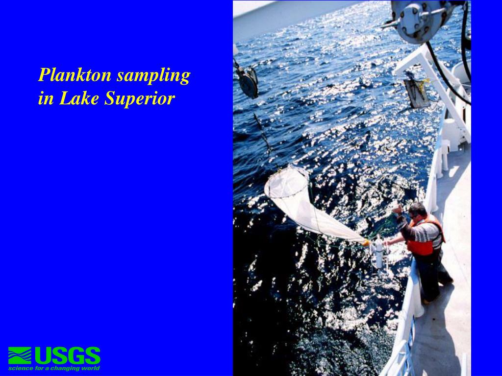 PPT - Trends in Early Spring Lake Superior Zooplankton Communities ...